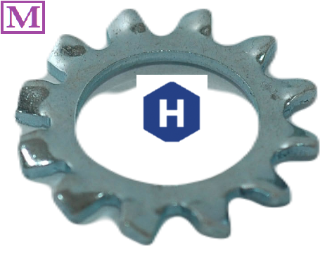 Metric External Tooth Lock Washer – Hardware Everywhere